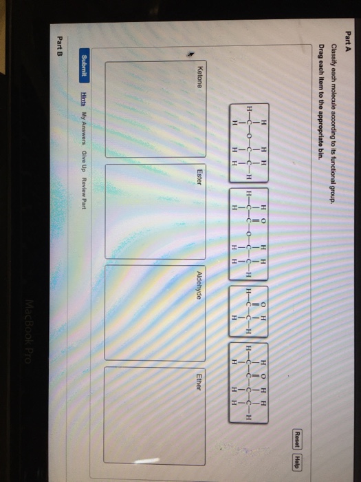 Solved Classify each molecule according to its functional | Chegg.com