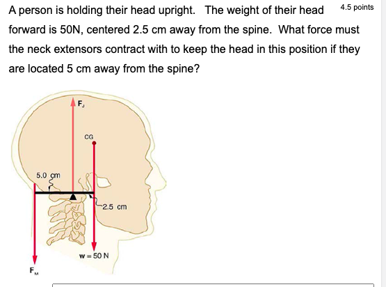 Solved 4.5 points A person is holding their head upright. | Chegg.com