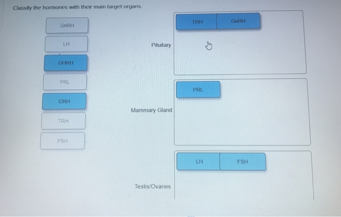 Solved Classify the hormones with their main target organs | Chegg.com