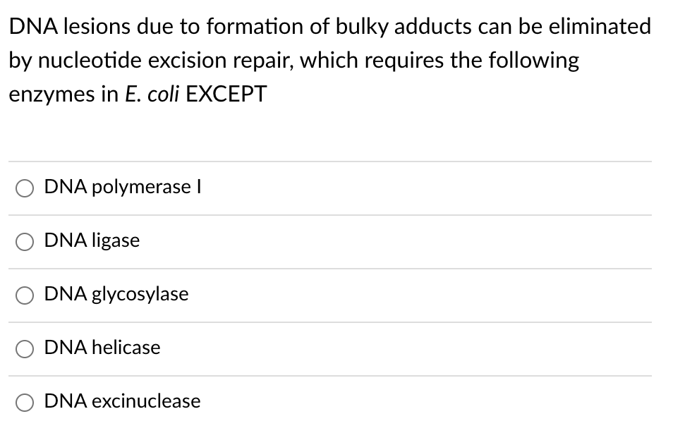 Solved DNA lesions due to formation of bulky adducts can be | Chegg.com
