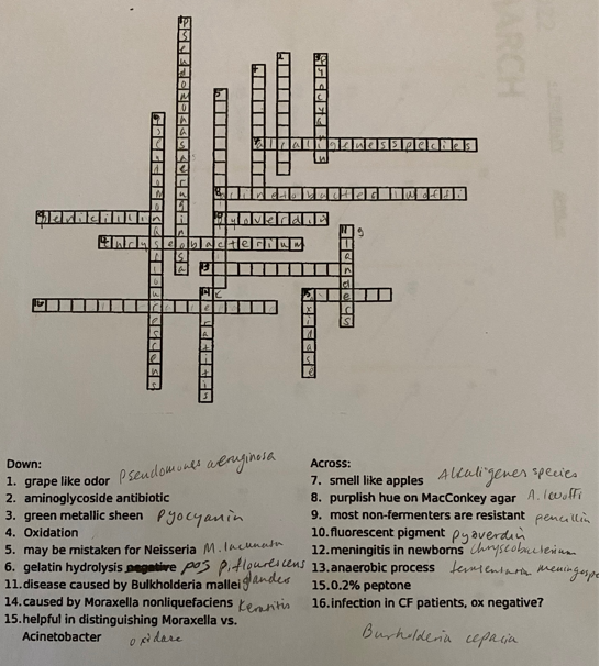 This is for clinical microbiology crossword puzzle. | Chegg.com