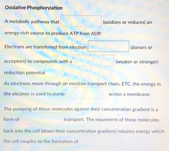 Solved Oxidative Phosphorylation A metabolic pathway that | Chegg.com