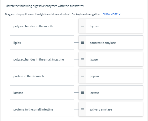 Solved Match the following digestive enzymes with the | Chegg.com