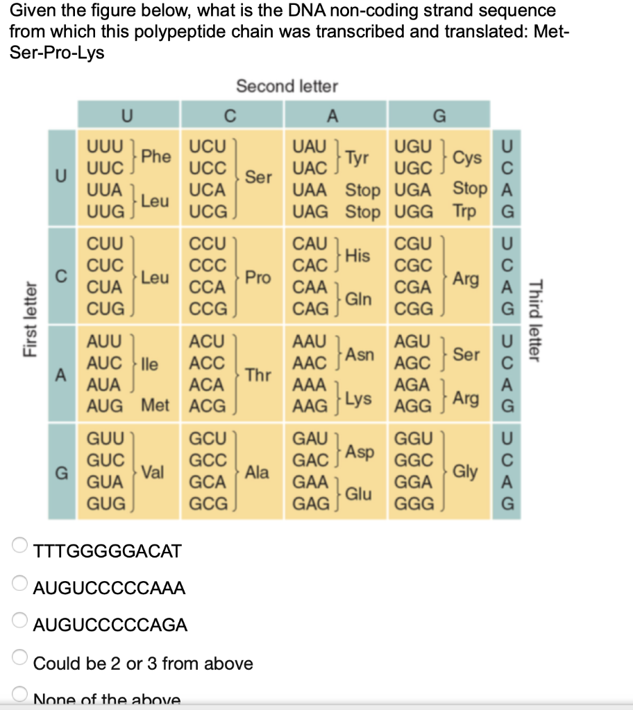 Solved Given the figure below, what is the DNA non-coding | Chegg.com
