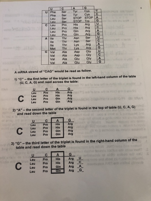 Solved 1. Using the DNA sequence below, make a complementary | Chegg.com