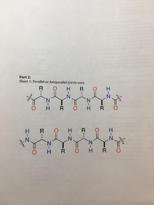 Solved Description: Peptides are made up of amino acids, | Chegg.com