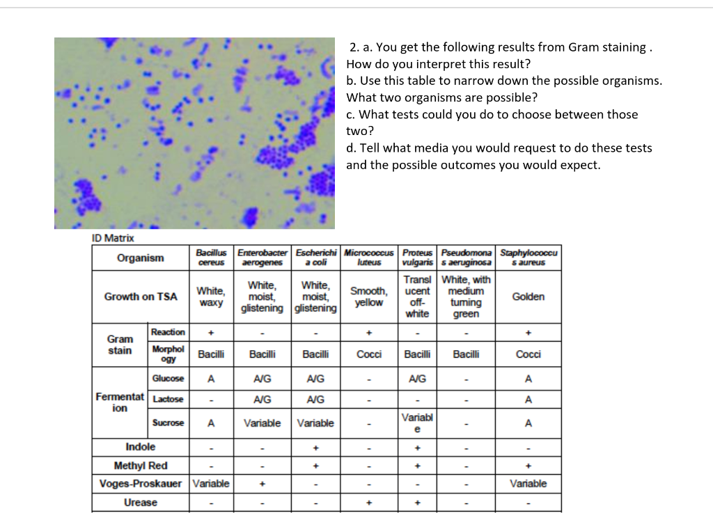 2. a. You get the following results from Gram | Chegg.com