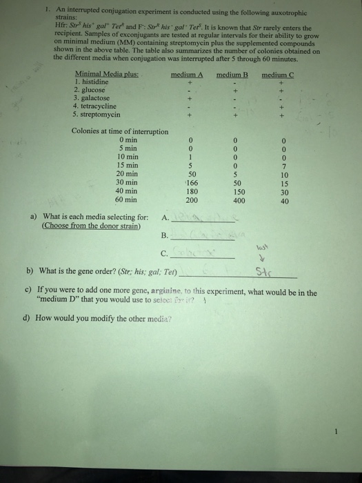 Solved . An interrupted conjugation experiment is conducted | Chegg.com