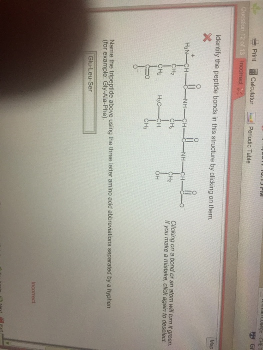 Solved Identify the peptide bonds in this structure by | Chegg.com