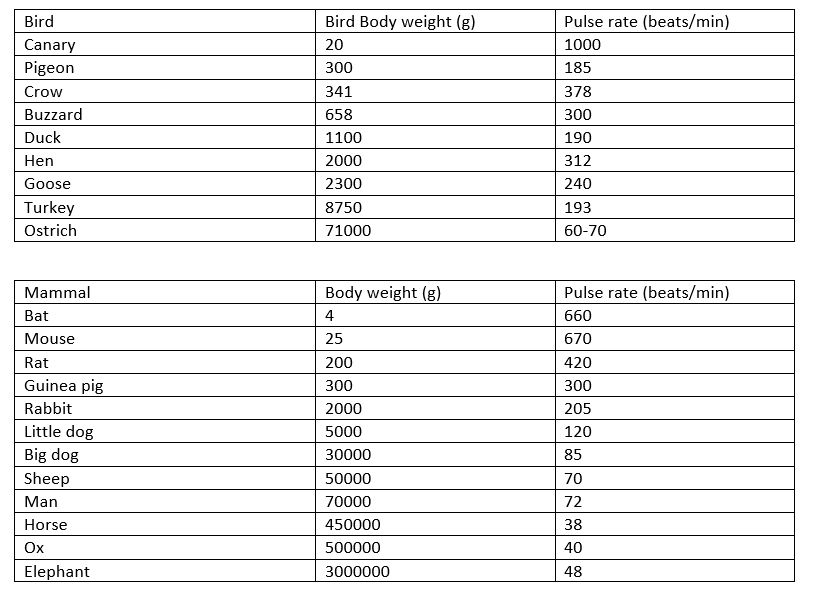 Solved Bird Body weight (8) 20 300 Bird Canary Pigeon Crow | Chegg.com