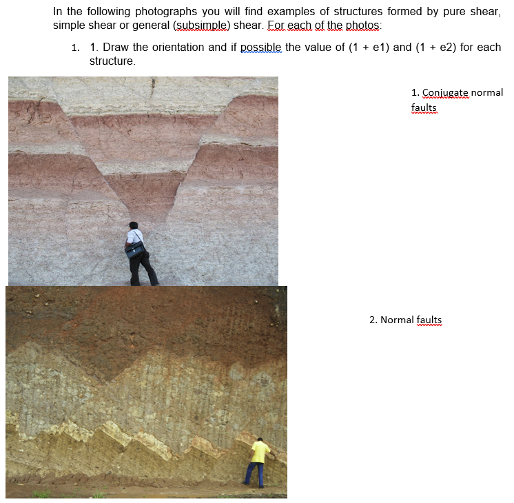 Solved In the following photographs you will find examples | Chegg.com