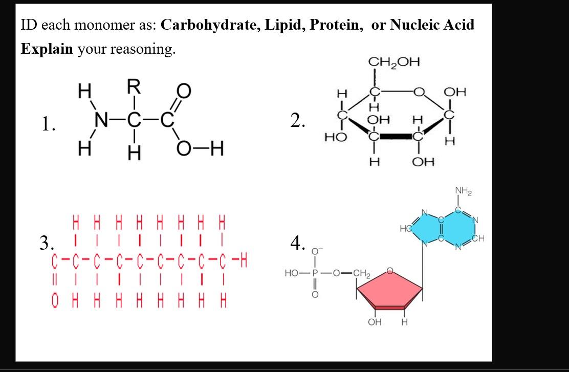 Solved ID each polymer as Carbohydrate, Lipid, Protein, or | Chegg.com