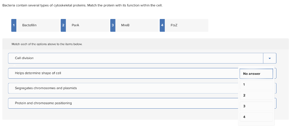 Assess the following statements and classify them | Chegg.com