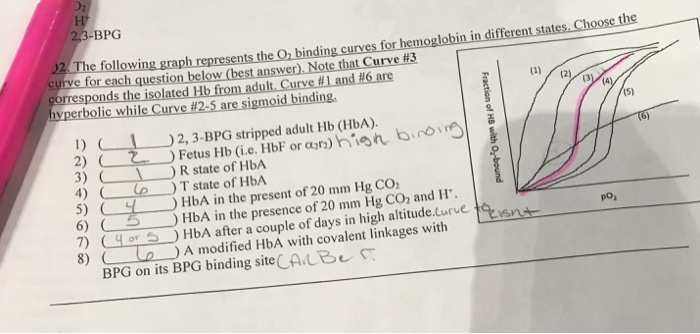 Solved BPG The following graph represents the O binding | Chegg.com
