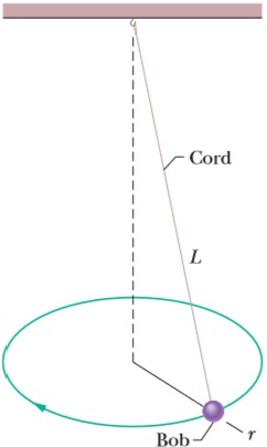 Solved A conical pendulum consists of a pendulum bob | Chegg.com