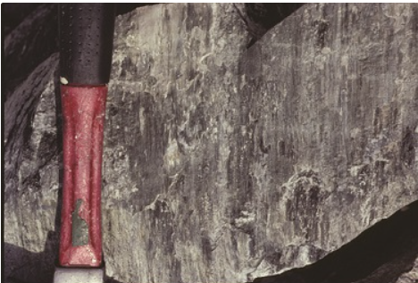 Solved What type of metamorphic feature is shown in this | Chegg.com