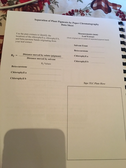 Solved Separation of Plant Pigments by Paper Chromatography | Chegg.com