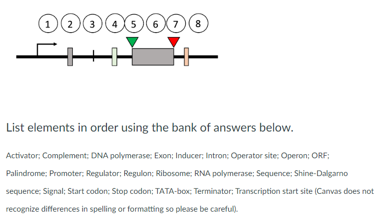 Solved List elements in order using the bank of answers | Chegg.com