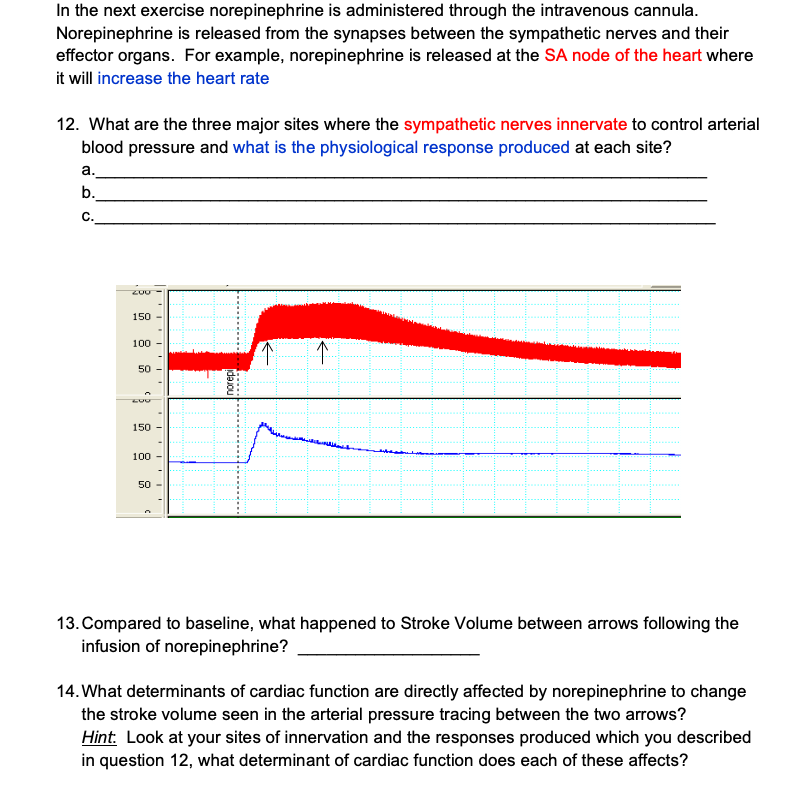 Solved In the next exercise norepinephrine is administered | Chegg.com