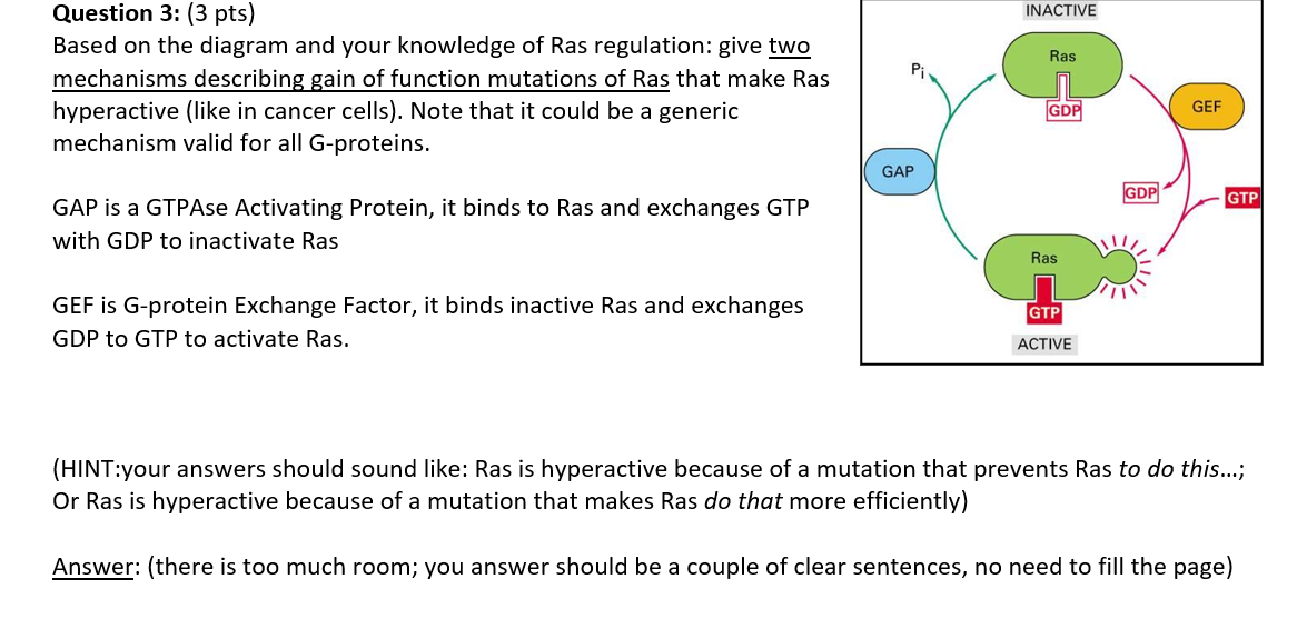 Solved Based on the diagram and your knowledge of Ras | Chegg.com