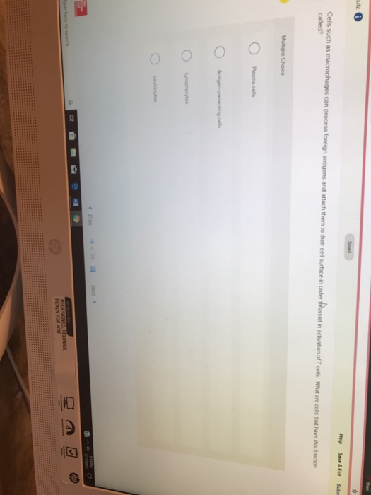 Solved Plasme cells | Chegg.com