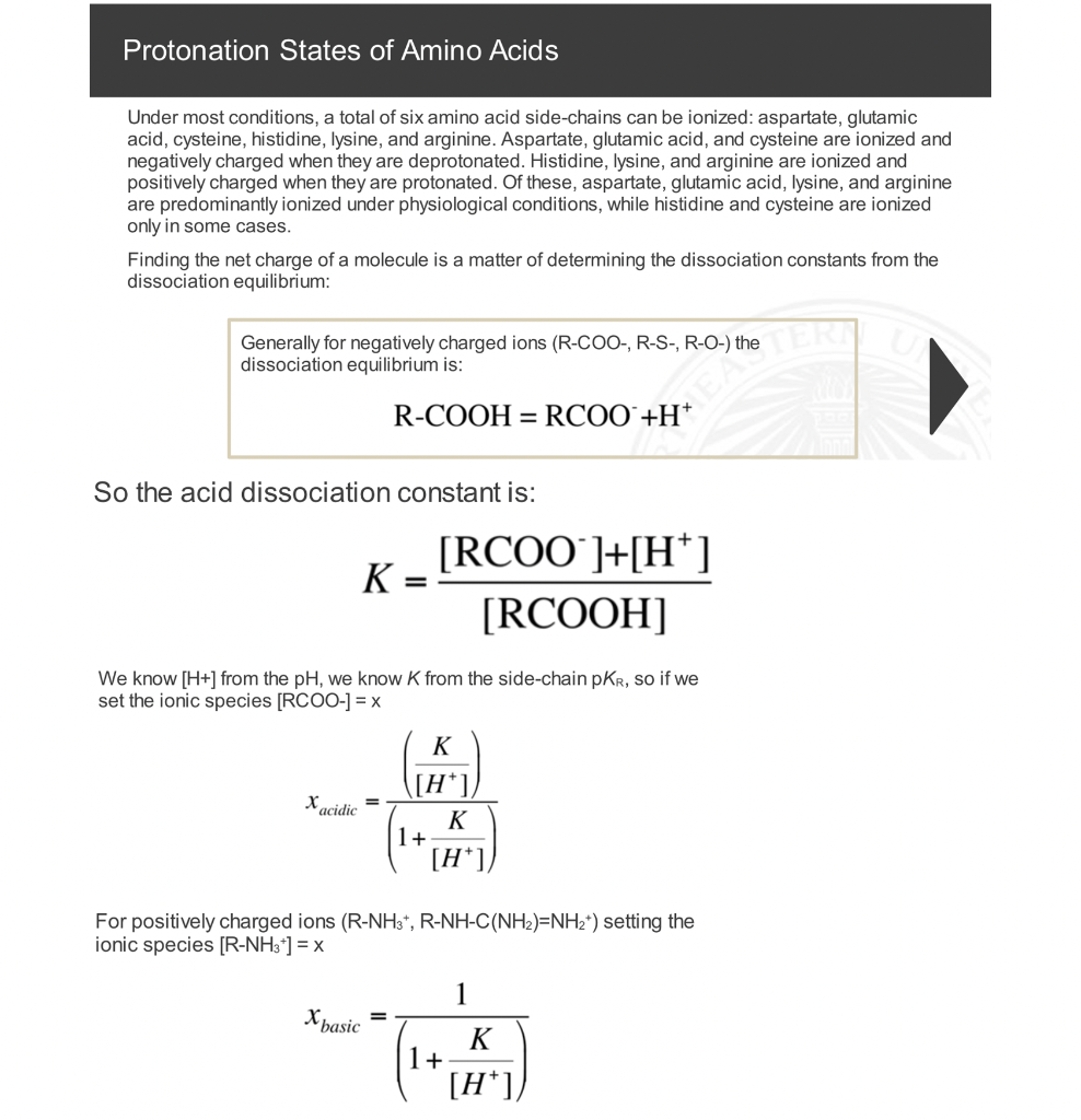 Protonation States of Amino Acids Under most | Chegg.com