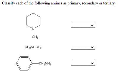 Solved Classify each of the following amines as primary, | Chegg.com