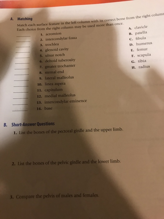 Solved A. Matching rom the right columt Match each surface | Chegg.com