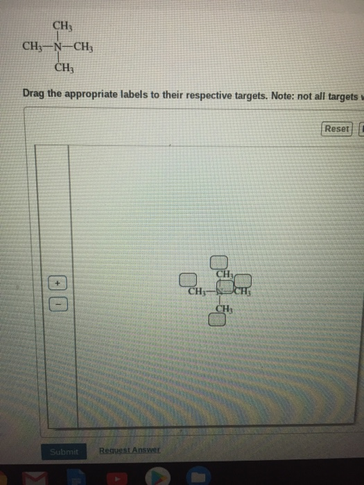 Solved Drag the appropriate labels to their respective | Chegg.com