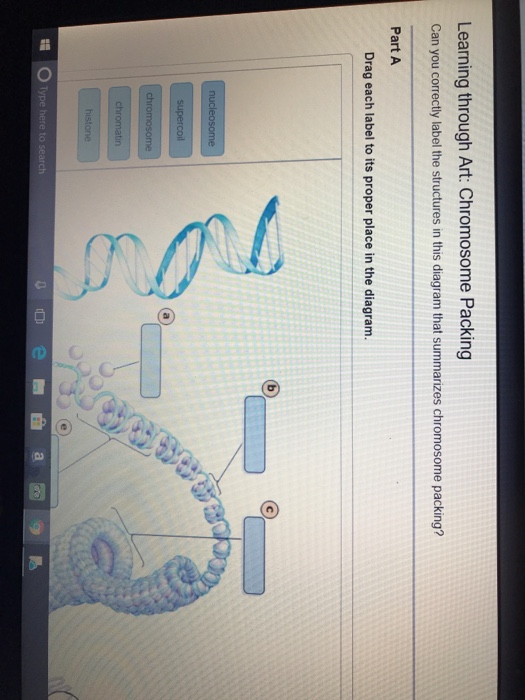 Can You Correctly Label The Structures In This Diagram That Summarizes ... Can You Correctly Label The Structures In This Diagram That Summarizes ...