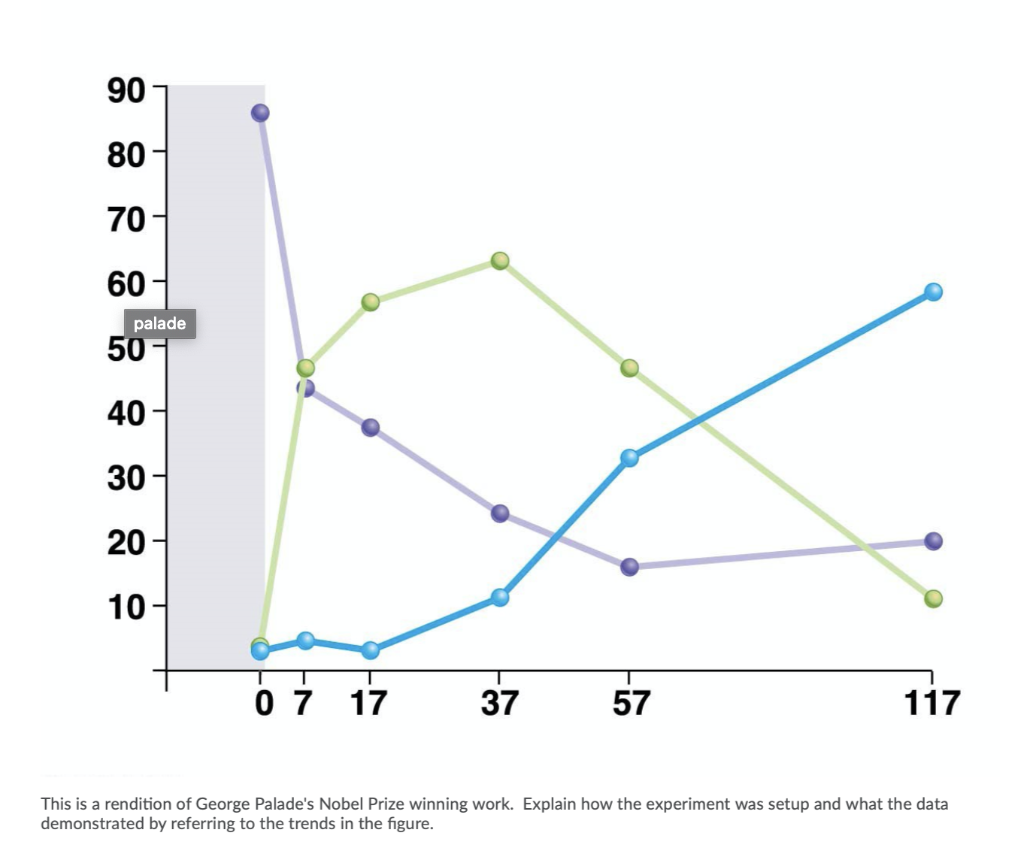Solved This is a rendition of George Palade's Nobel Prize | Chegg.com