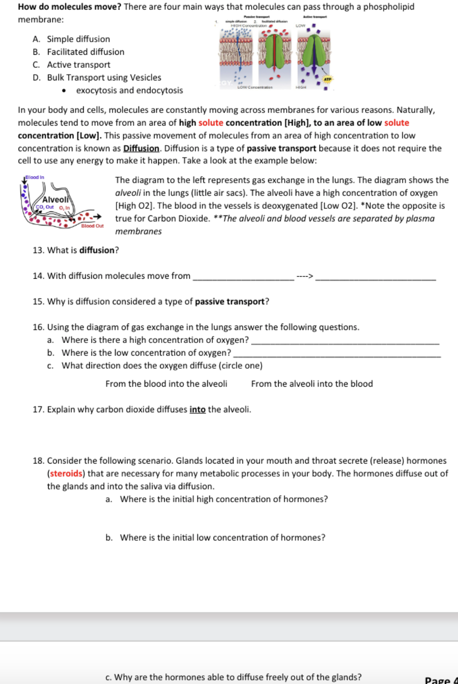 Solved A. Simple diffusion B. Facilitated diffusion C. | Chegg.com