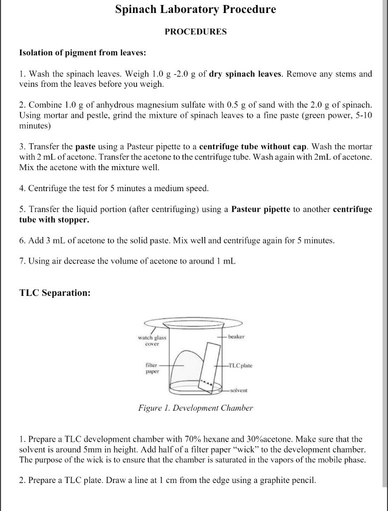 Spinach Laboratory Procedure PROCEDURES Isolation of | Chegg.com
