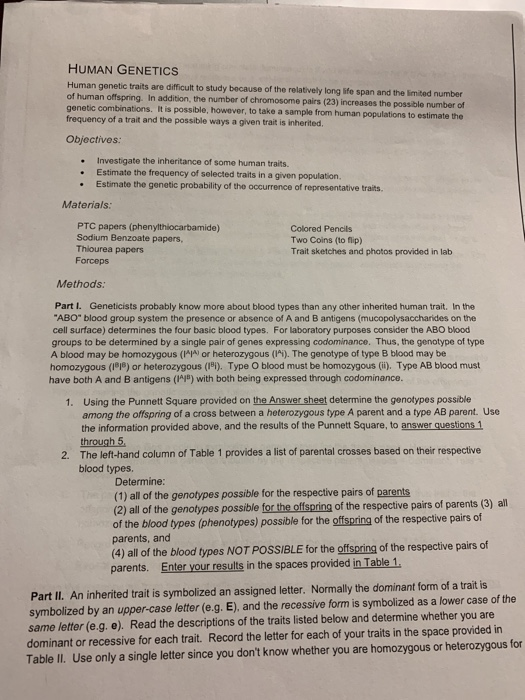 Human Genetic Traits List