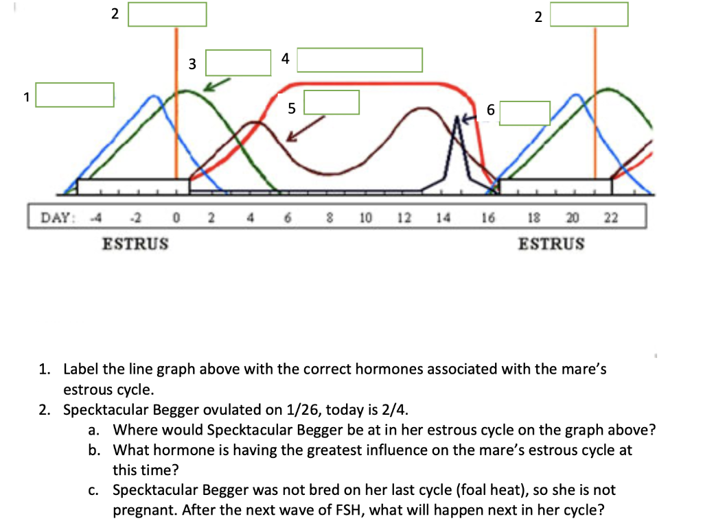Solved 1. Label the line graph above with the correct | Chegg.com