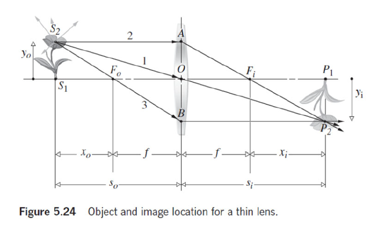 Solved In the figure, when the horizontal magnification | Chegg.com