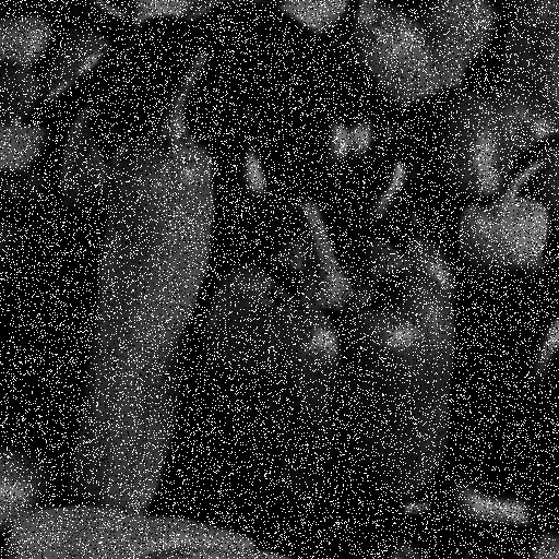 Given the images (original.png and corrupted) with | Chegg.com