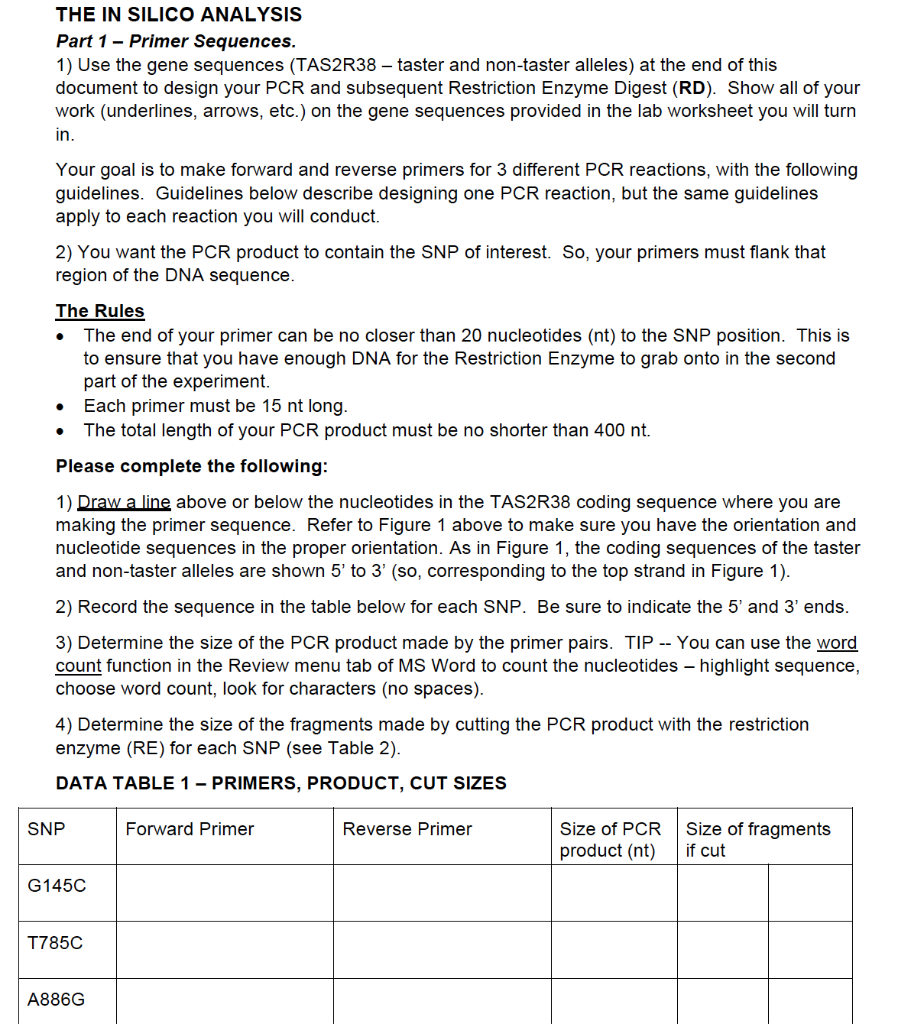 Solved Human Bitter Taste Receptor Gene (TAS2R38) Coding | Chegg.com