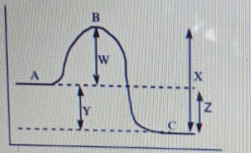 Solved X-axis= Progress Reaction Y-axis= Energy Which of | Chegg.com