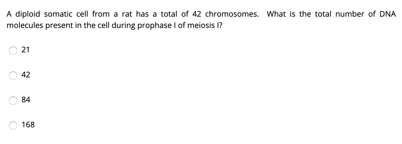 Solved A diploid somatic cell from a rat has a total of 42 | Chegg.com