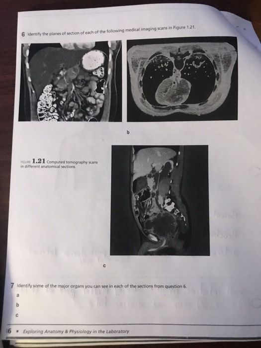 Solved 6 Identify the planes of section of each of the | Chegg.com