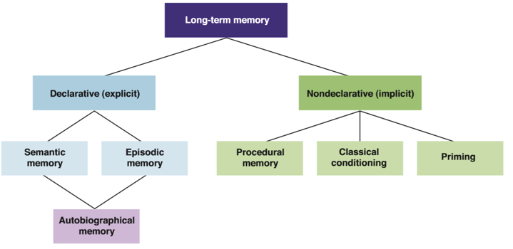 Instructions Briefly describe an autobiographical | Chegg.com