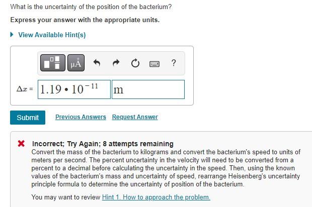Solved A student is examining a bacterium under the | Chegg.com