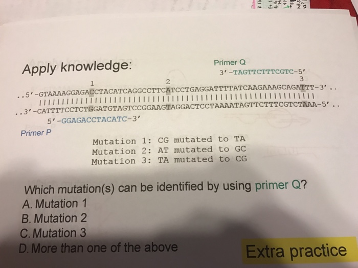 Solved Mutation 1: CG mutated to TA Mutation 2: AT | Chegg.com