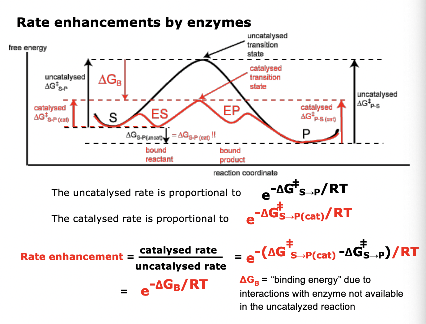 Solved Kinetics governs the rate and mechanism by which a | Chegg.com