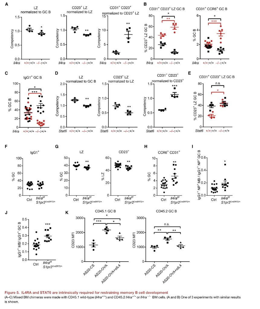 Solved " Follicular dendritic cells restrict interleukin-4 | Chegg.com