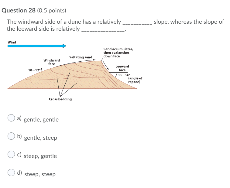 Solved Question 28 (0.5 points) The windward side of a dune | Chegg.com