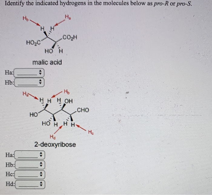 Solved Identify the indicated hydrogens in the molecules | Chegg.com