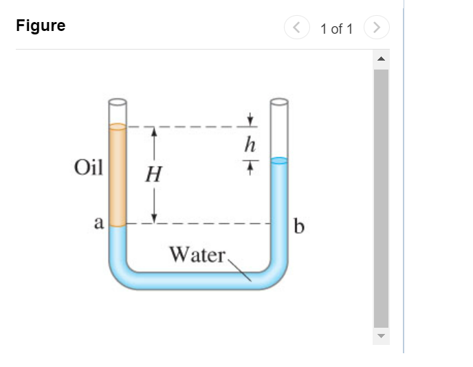 Solved Water and then oil (which don't mix) are poured into | Chegg.com