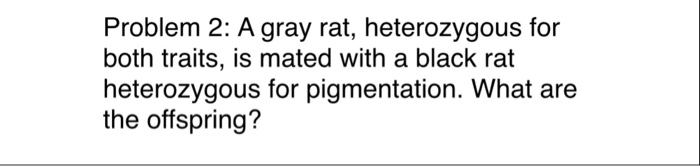 Problem 2: A gray rat, heterozygous for both traits, | Chegg.com